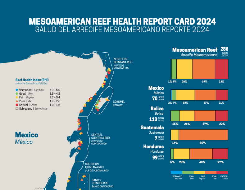 A Glimmer of Good News from the Mesoamerican Reef as reef health ...