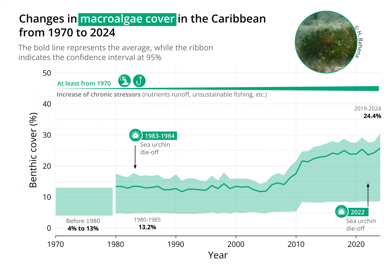Caribbean Coral Reefs Declining: New Report Calls for Urgent Action – GCRMN